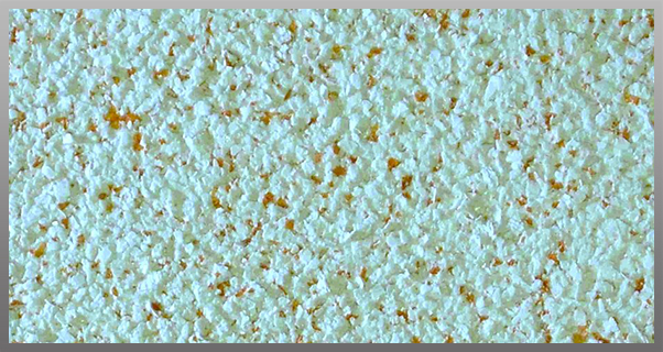 Enduit bio intérieur, maison écologique Béziers, Montpellier, 34.